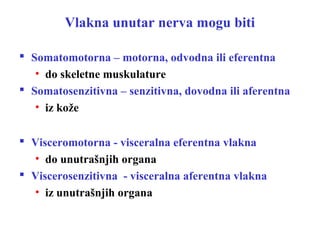 Opsta neurologija | PPT