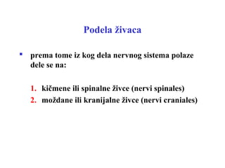 Opsta neurologija | PPT