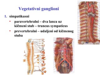 Opsta neurologija | PPT