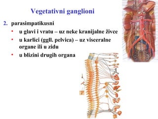 Opsta neurologija | PPT
