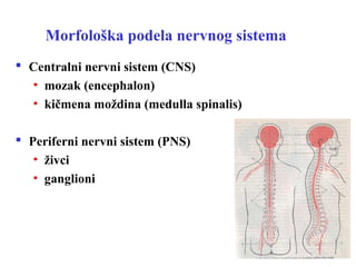 Opsta neurologija | PPT