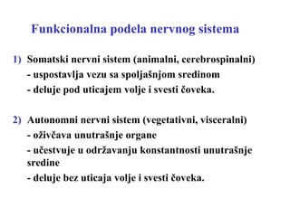 Opsta neurologija | PPT