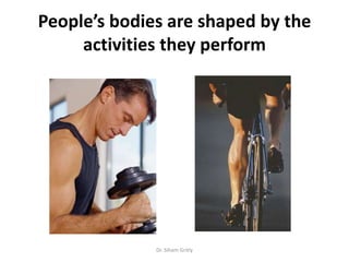 Body Composition Examples Exercise