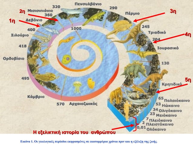 1 η εξελιξη παιρνει χρόνο!!! (2) | PPT