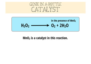 Energy Changes and Chemical Reactions | PDF