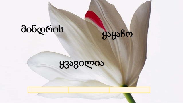 უსუნო ყვავილი
