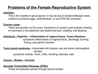 12-13 Female Reproductive System PowerPoint.ppt