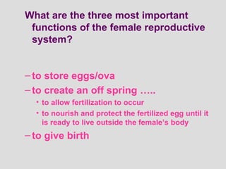 12-13 Female Reproductive System PowerPoint.ppt