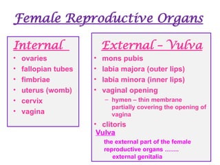 12-13 Female Reproductive System PowerPoint.ppt