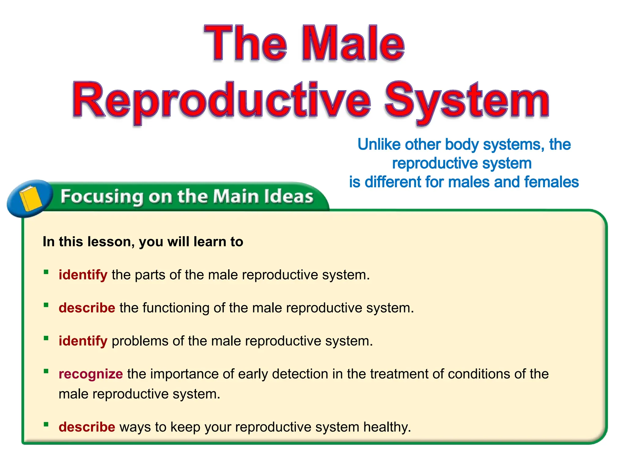 12-13 Male Reproductive system Powerpoint.ppt