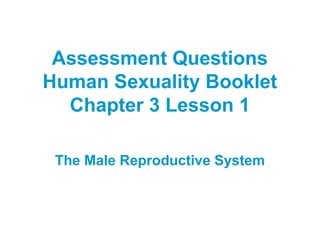 12-13 Male Reproductive system Powerpoint.ppt