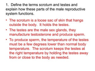 12-13 Male Reproductive system Powerpoint.ppt