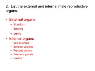 12-13 Male Reproductive system Powerpoint.ppt