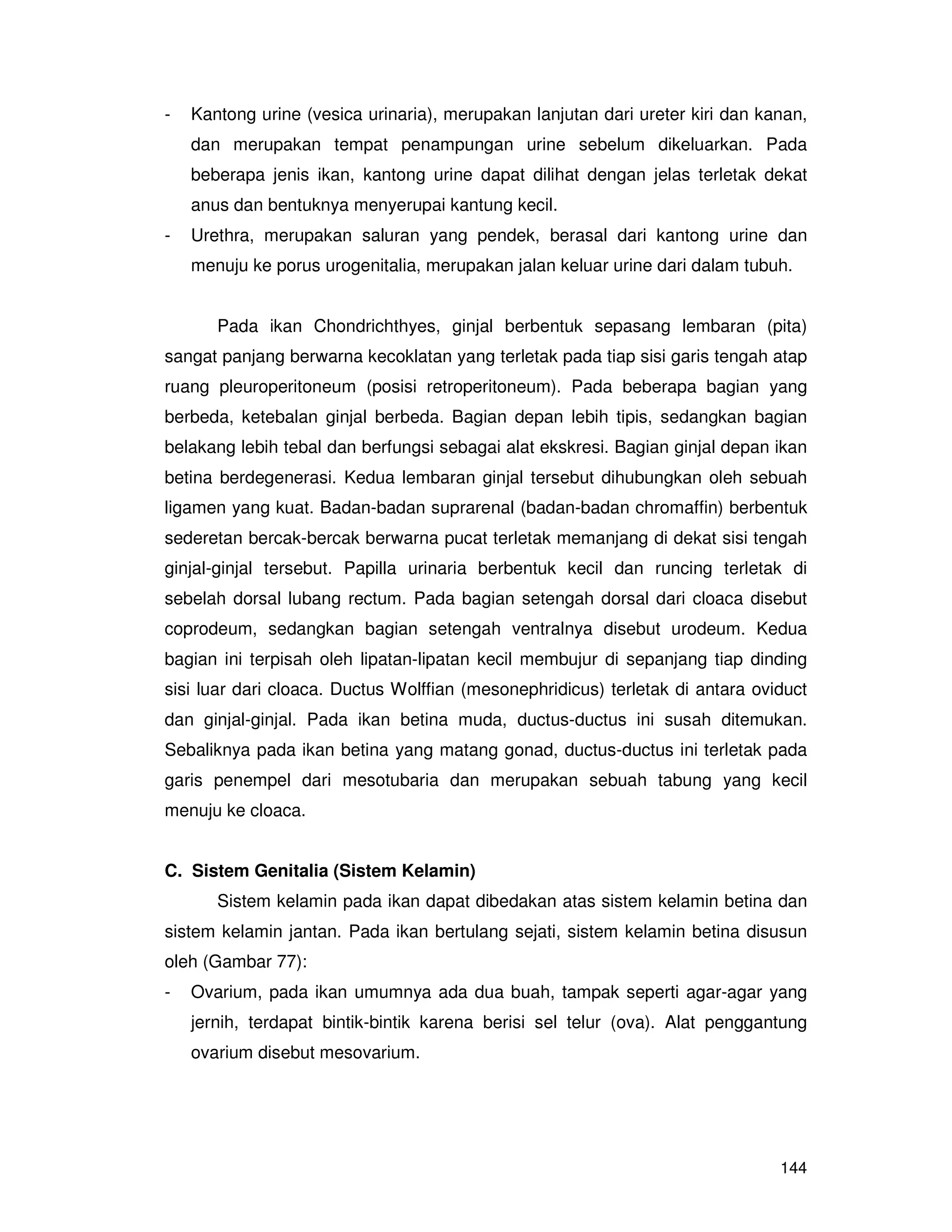 12. sistem urogenital | PDF