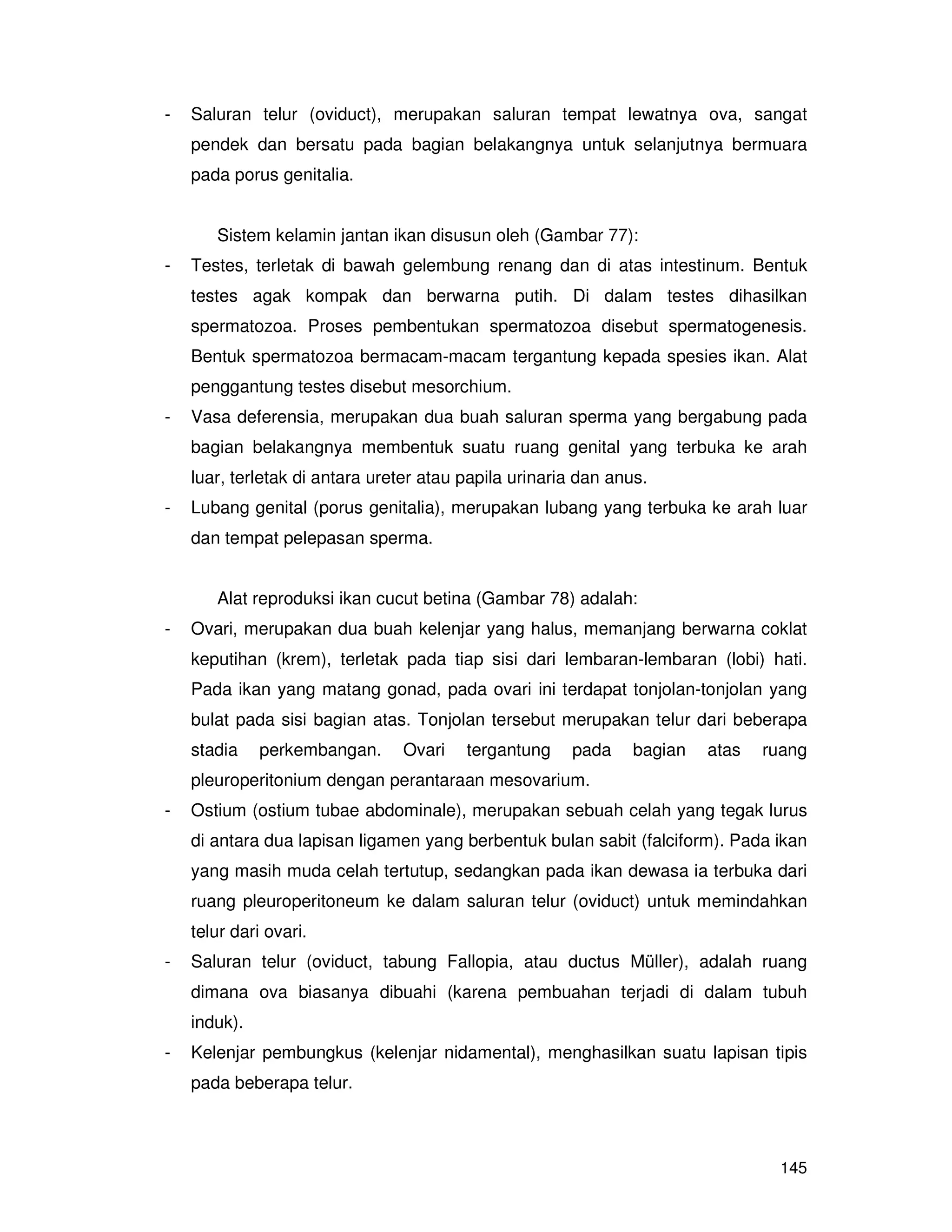12. sistem urogenital | PDF