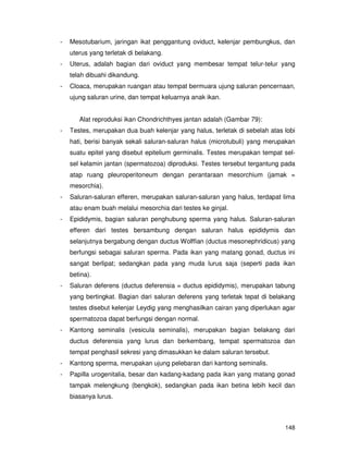 12. sistem urogenital | PDF