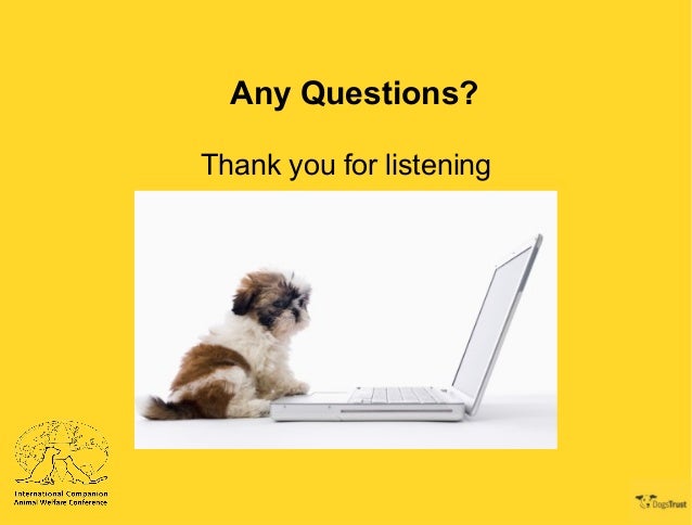 Any Questions Dog Shertards | Sherdog Forums | UFC, MMA & Boxing