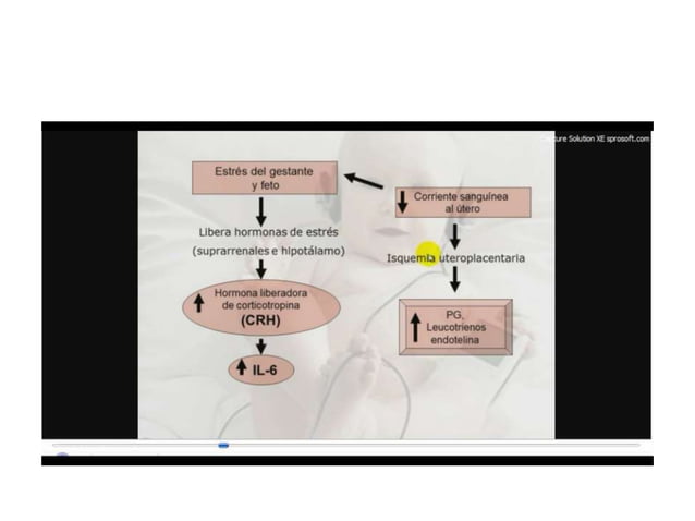 12. parto pretermino - tocolisis | PPTX