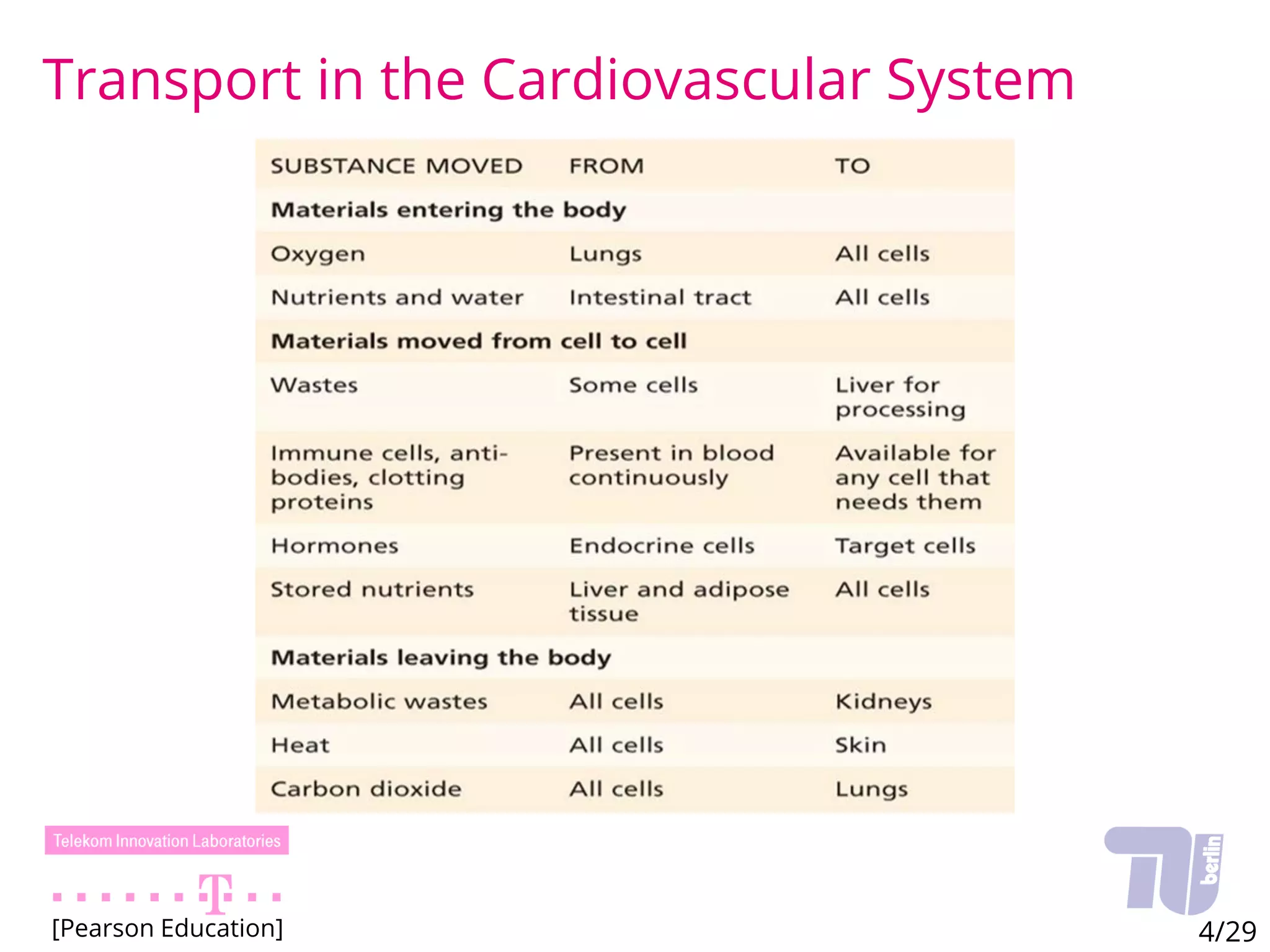 Heart Activity and ECG | PPT