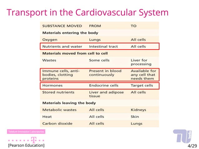 Heart Activity and ECG | PPT