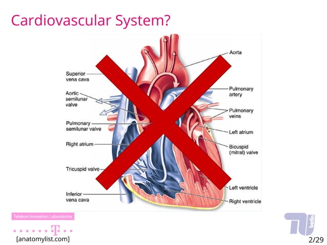 Heart Activity and ECG | PPT