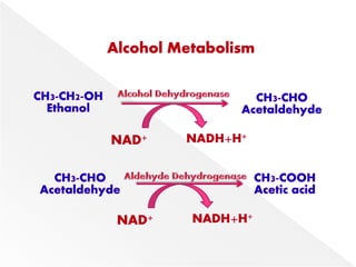 ALCOHOL METABOLISM | PPTX