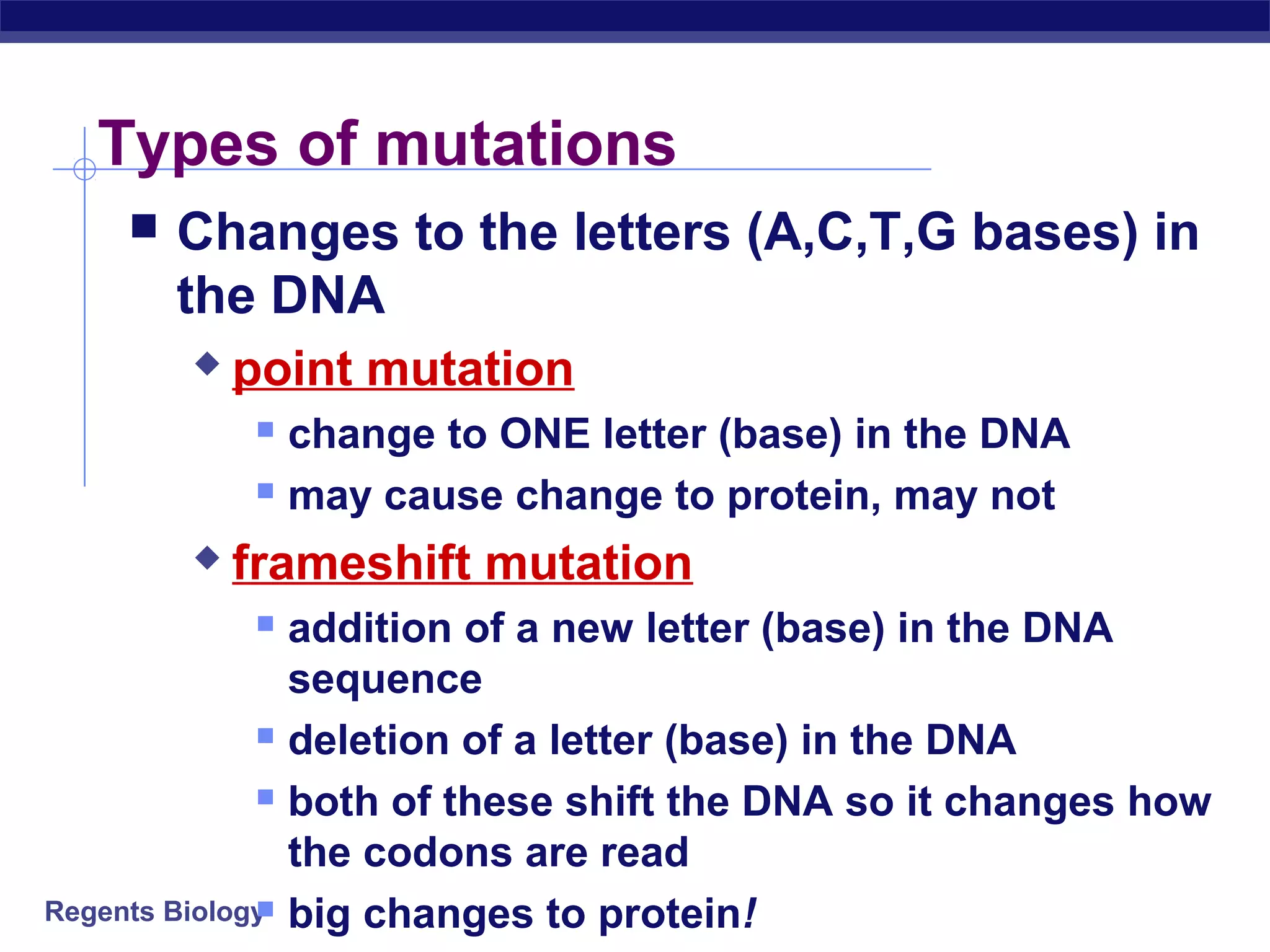 12.4 mutations | PPT
