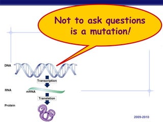 12.4 mutations | PPT