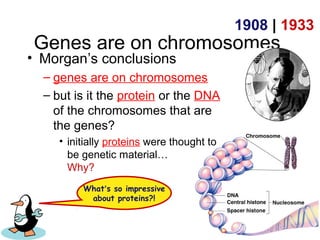 12.1 notes dna the genetic material | PPT