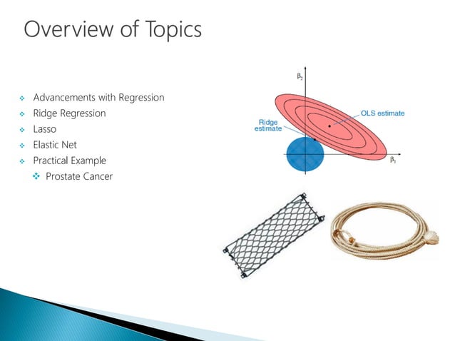 Data Science - Part XII - Ridge Regression, LASSO, and Elastic Nets | PDF
