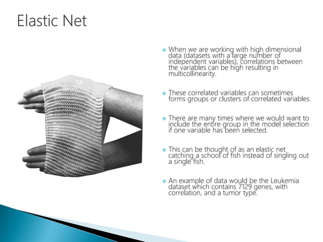 Data Science - Part XII - Ridge Regression, LASSO, and Elastic Nets | PDF