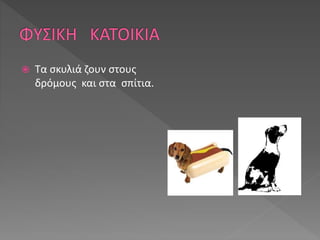 ΣΚΥΛΟΣ | PPTX