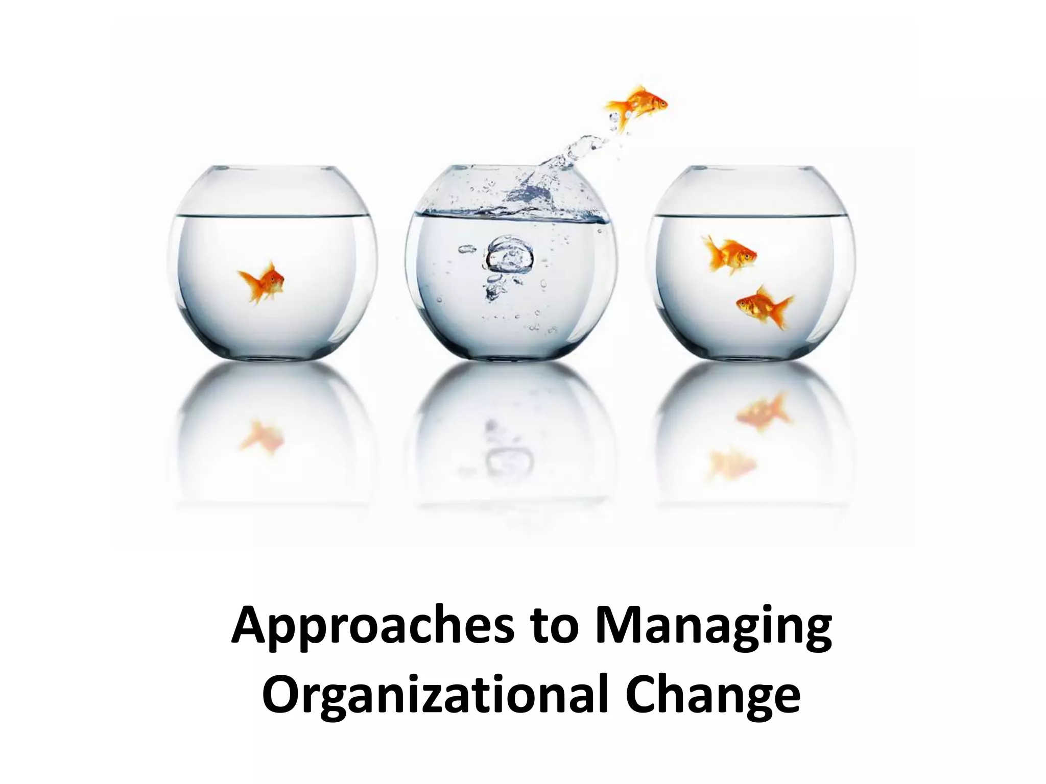 Approaches to managing organizational change - Organizational Change ...