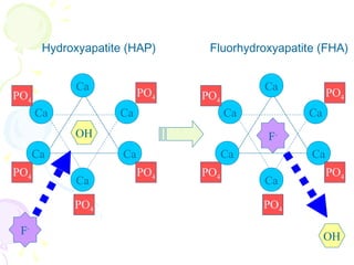 the role of fluoride... | PPT