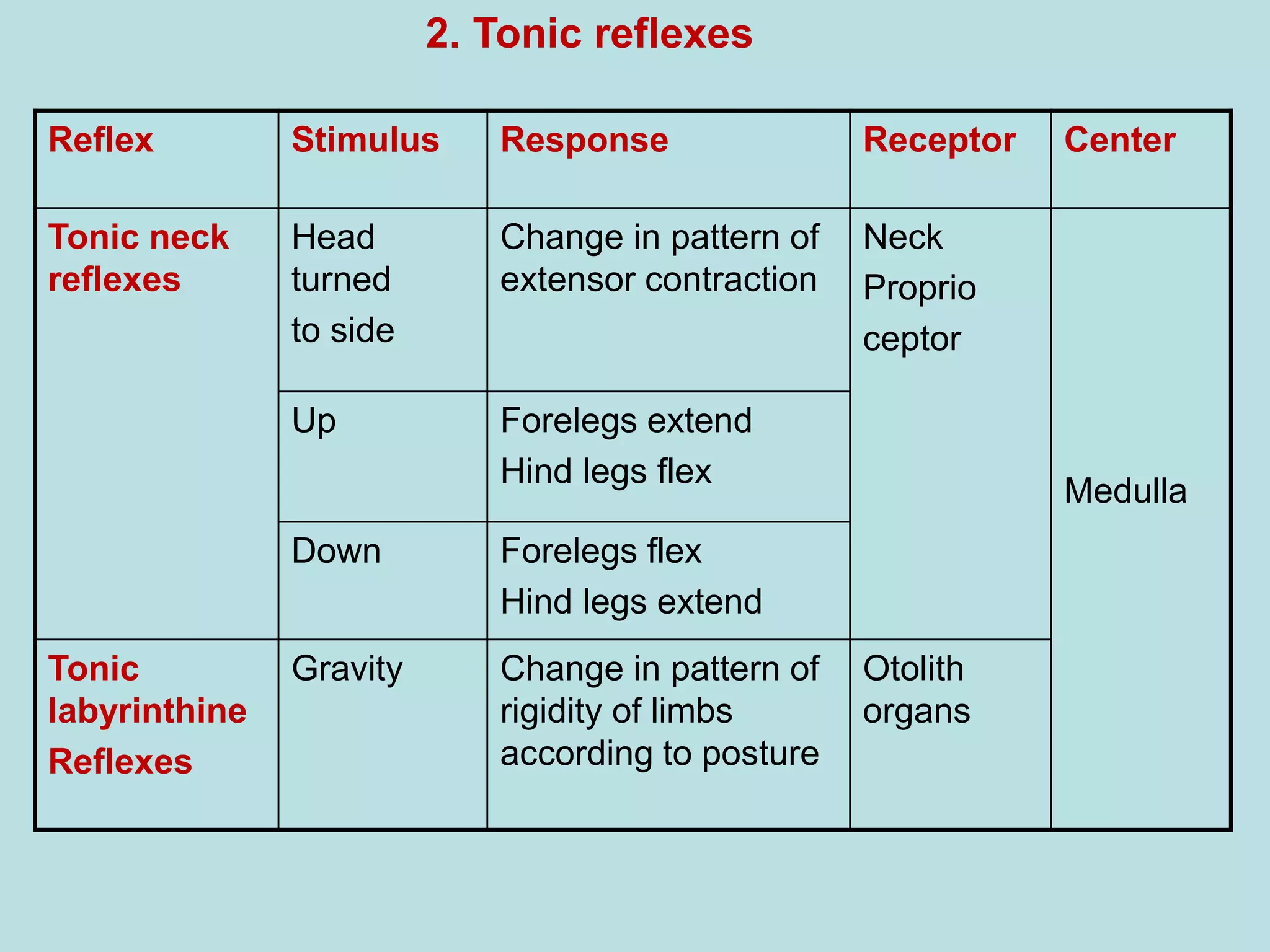 12.postural reflexes kjg | PDF