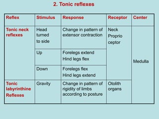12.postural reflexes kjg | PDF