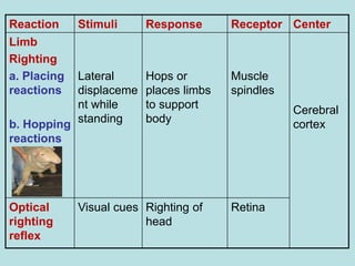 12.postural reflexes kjg | PDF