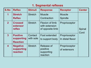 12.postural reflexes kjg | PDF