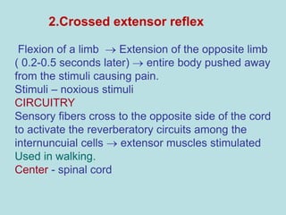 12.postural reflexes kjg | PDF