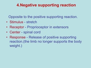 Positive Support Reflex
