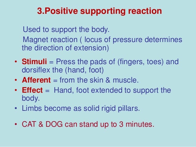 12.postural reflexes kjg