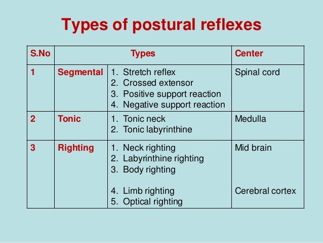 12.postural reflexes kjg