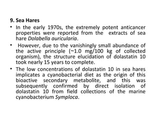 12. marine bioactive_compounds | PPT