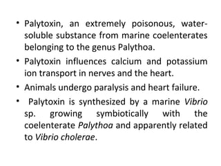 12. marine bioactive_compounds | PPT