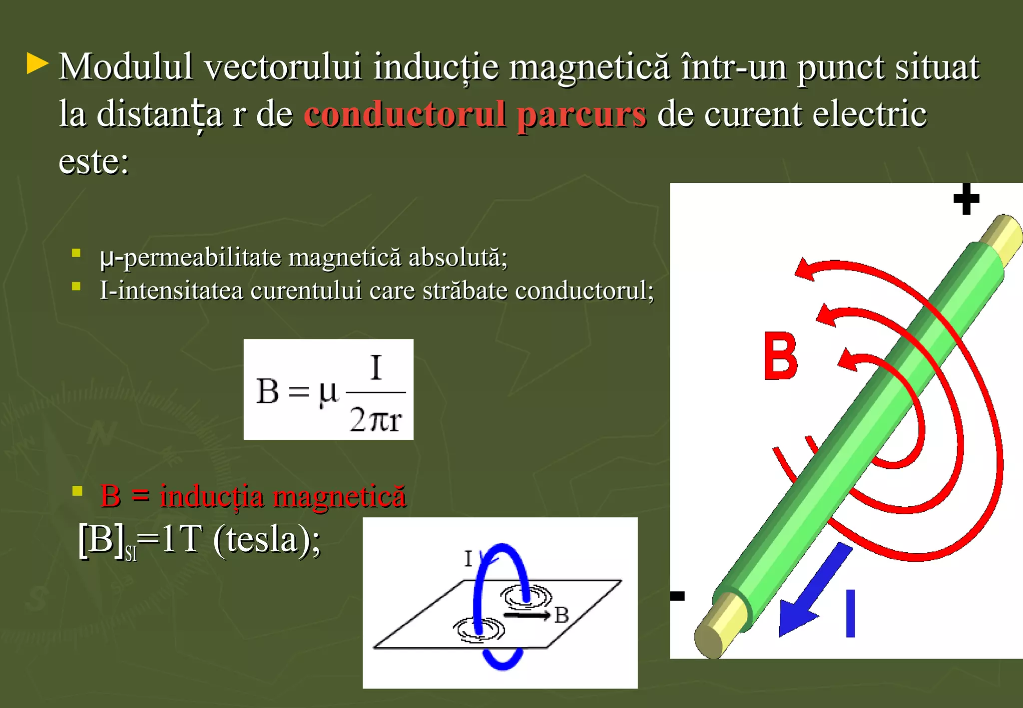12. danciu ioana xe-efectul magnetic al curentului electric | PPT