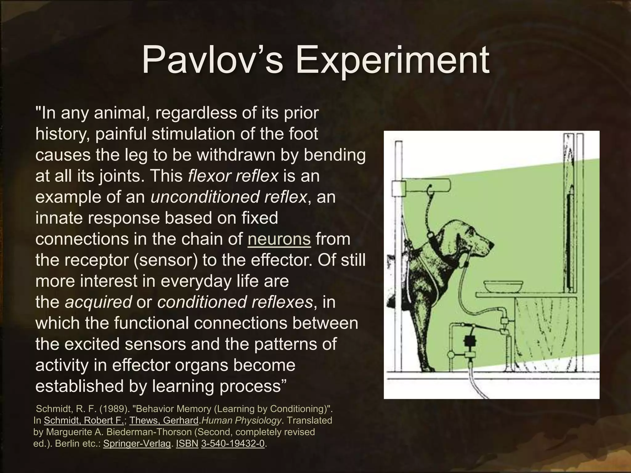12. human sciences | PPTX