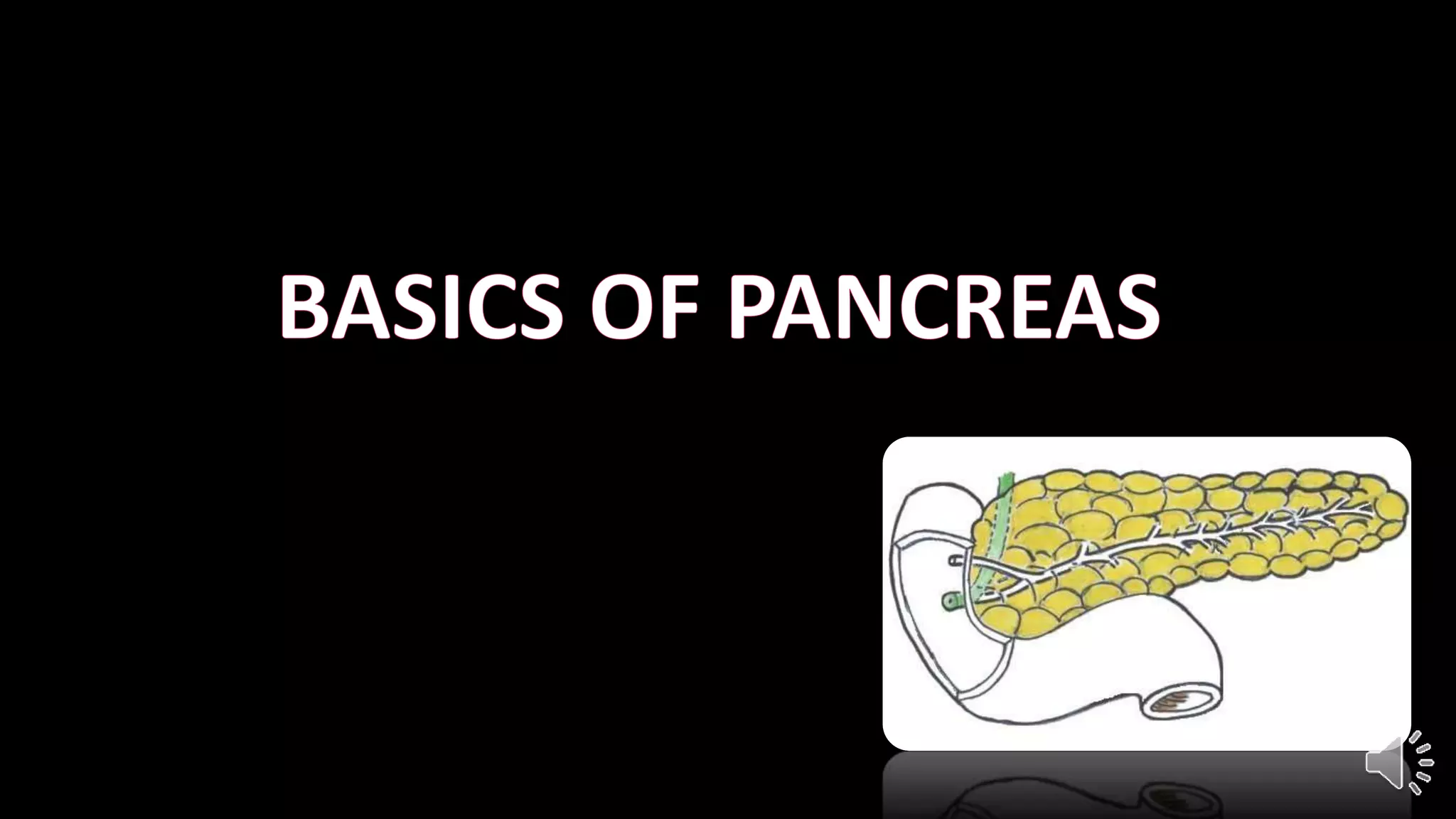 Basics of Pancreatitis and Pancreatic Exocrine Insufficiency | PPTX