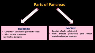 Basics of Pancreatitis and Pancreatic Exocrine Insufficiency | PPTX ...