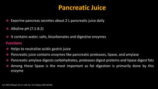 Basics of Pancreatitis and Pancreatic Exocrine Insufficiency | PPTX ...