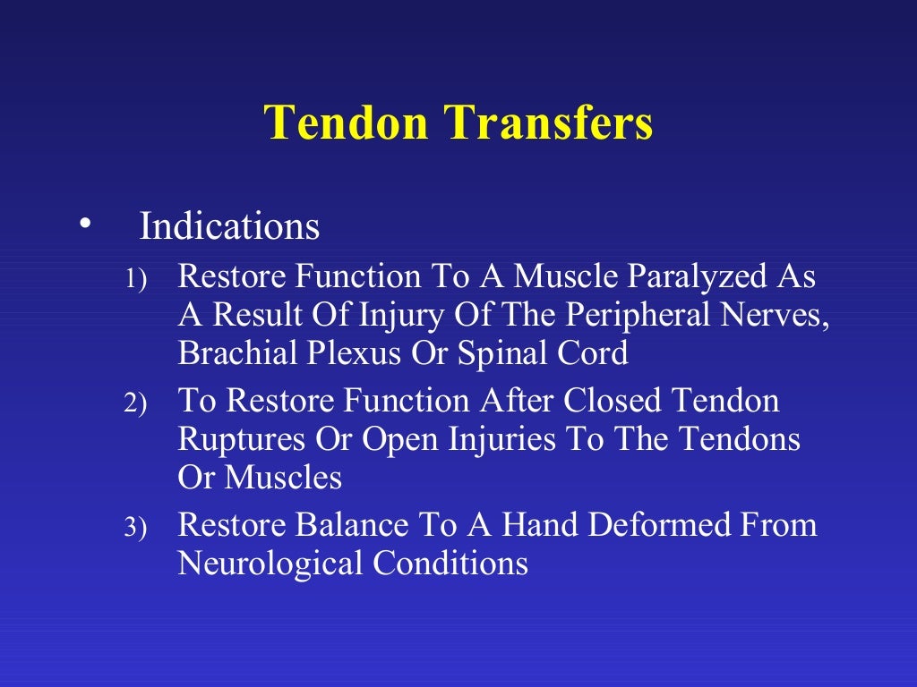 Upper Extremity Tendon Transfers: A Brief Review Of History ...